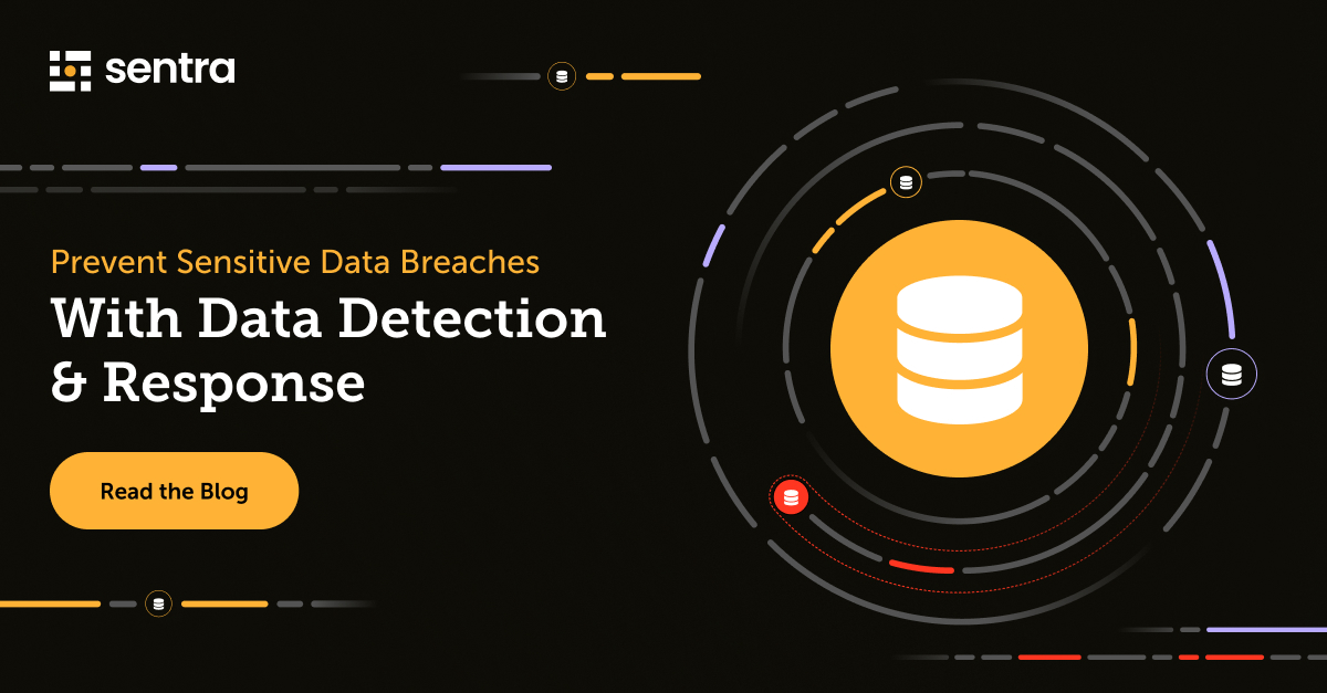 Prevent Data Breaches With Data Detection & Response (DDR)